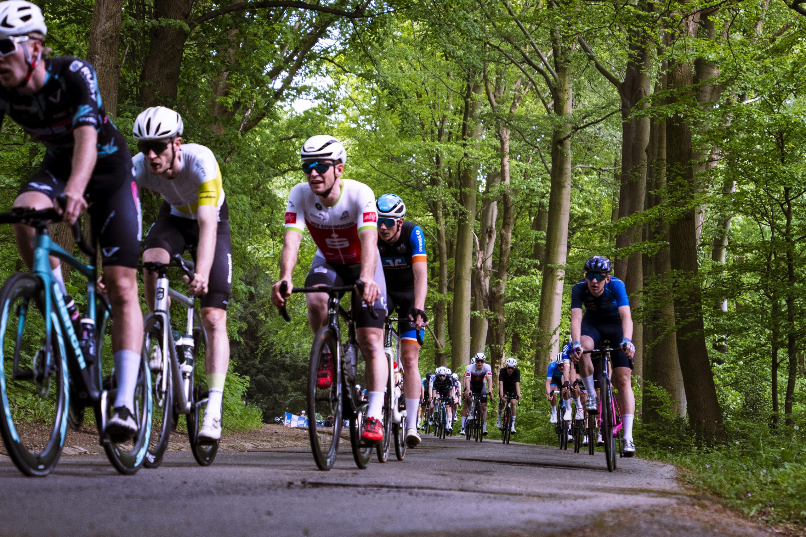 Rund um den Lousberg